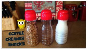 18 Plastic Bottle Recycling Ideas | Budget Dumpster