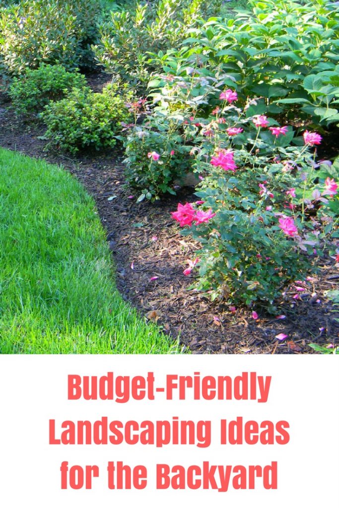 11 Backyard Landscaping Ideas On A Budget Budget Dumpster