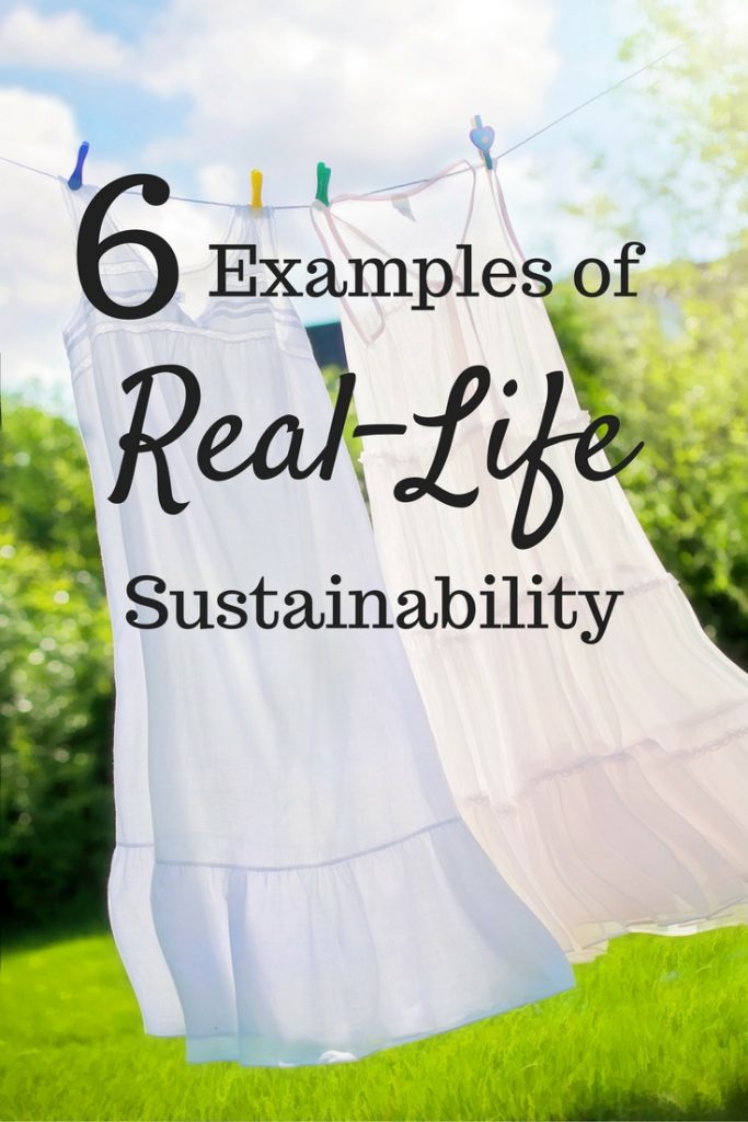 6 Examples of Real-Life Sustainability | Budget Dumpster