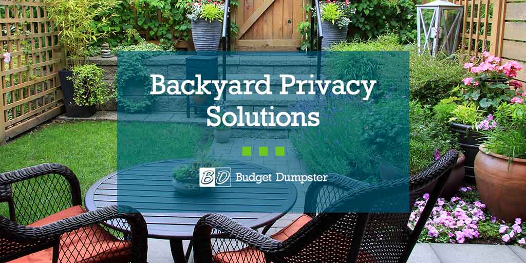 Easy Landscaping Ideas Privacy
