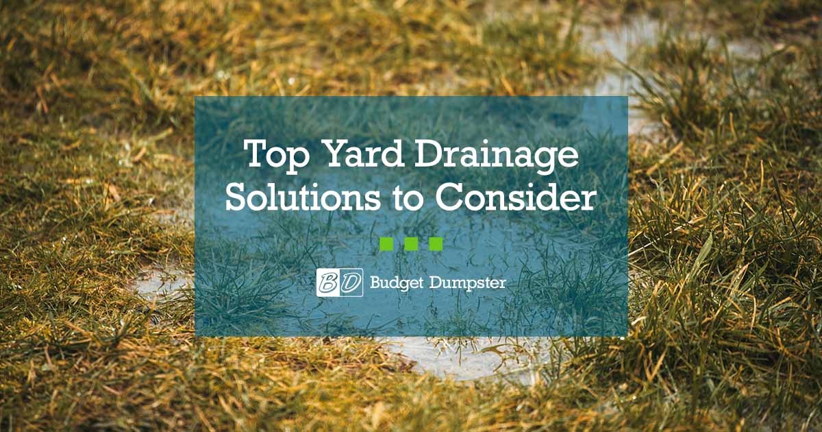 8 Yard Drainage Solutions You Can Do Yourself | Budget Dumpster