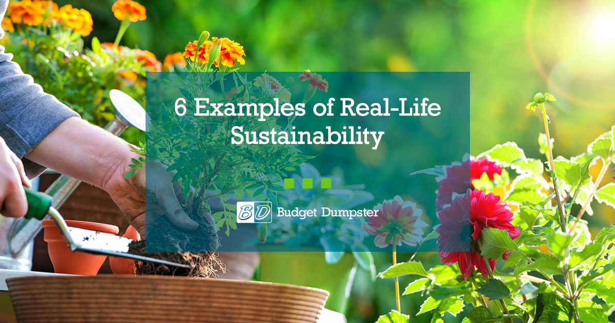Examples Sustainable Living