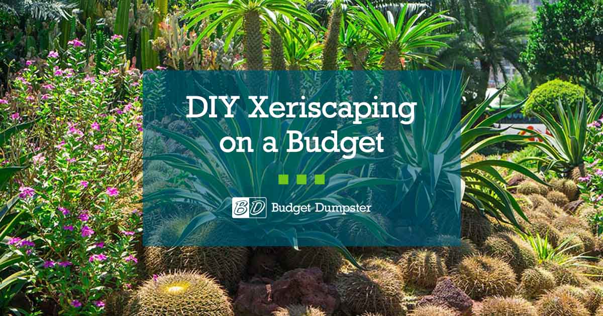 Diy Budget Front Yard Xeriscape Top 7 Xeriscaping Ideas On A Budget