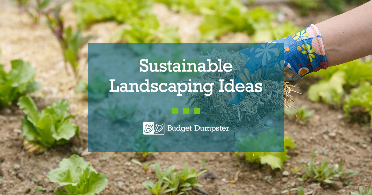 6 Sustainable Landscaping Ideas | Budget Dumpster
