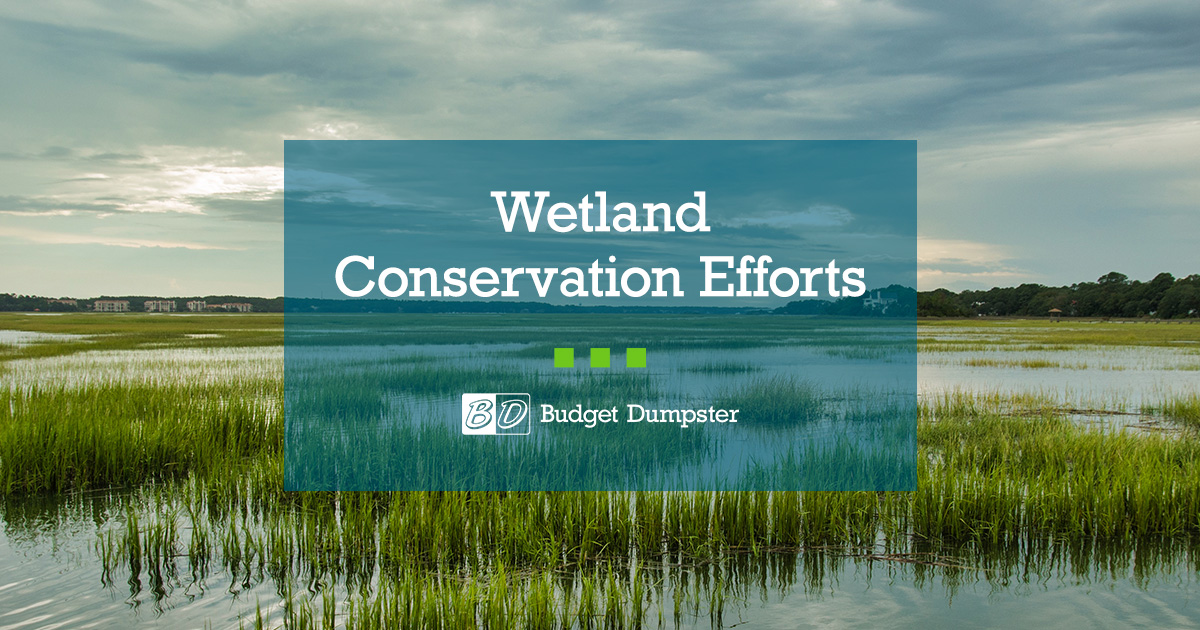 Wetland Conservation Efforts | Budget Dumpster