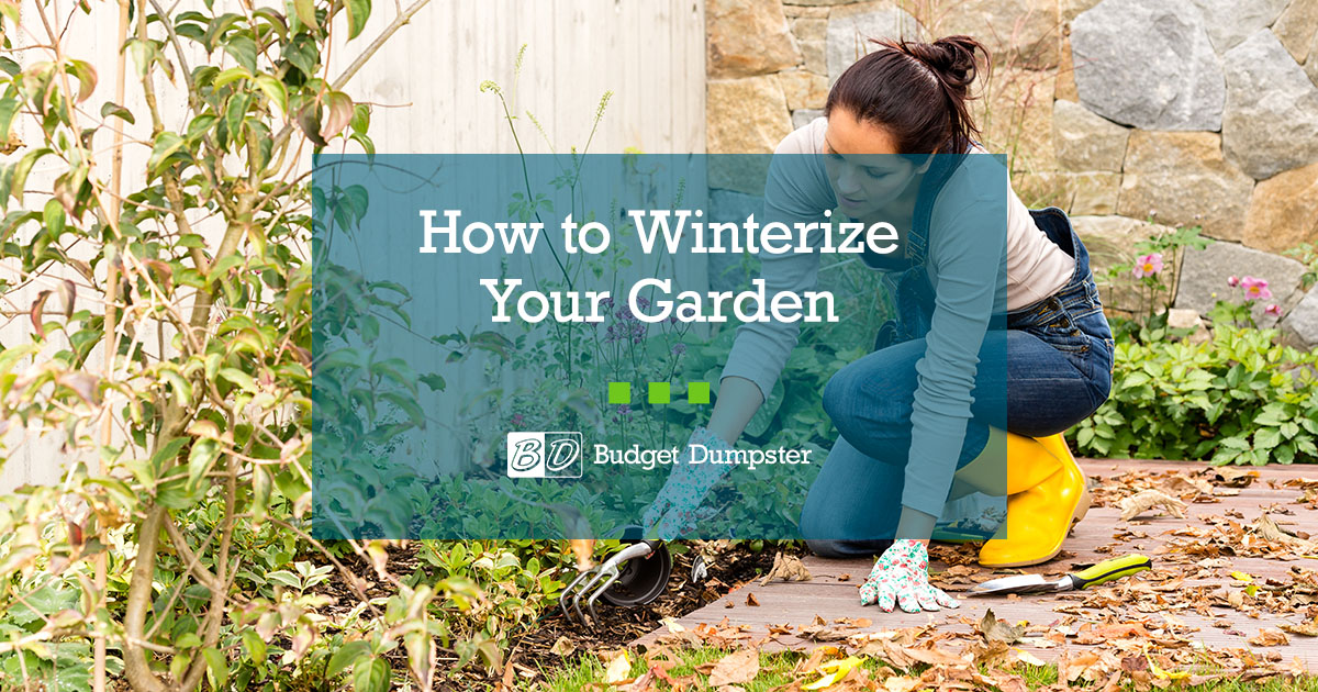 How to Prepare Your Garden for Winter | Budget Dumpster