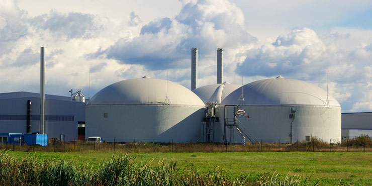 Where Does Our Trash and Garbage Go? | Budget Dumpster